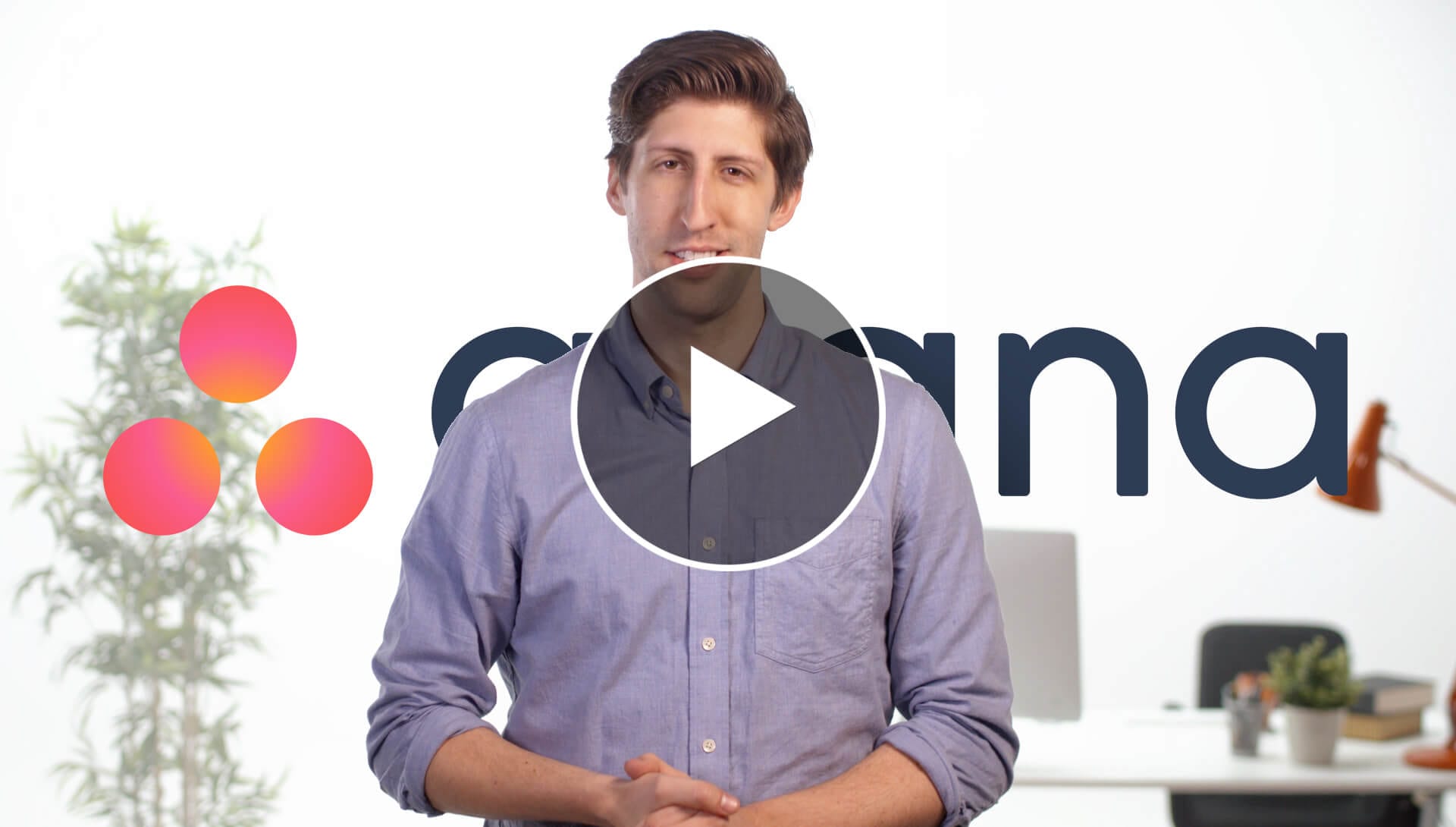 asana Test Management Integration with TestLodge - TestLodge Blog